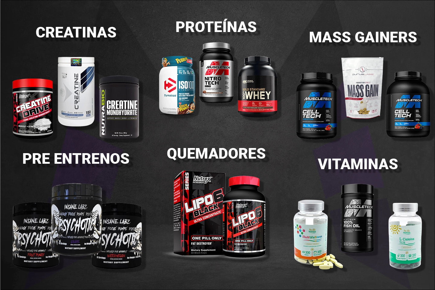 Vita & Muscles | Suplementos deportivos